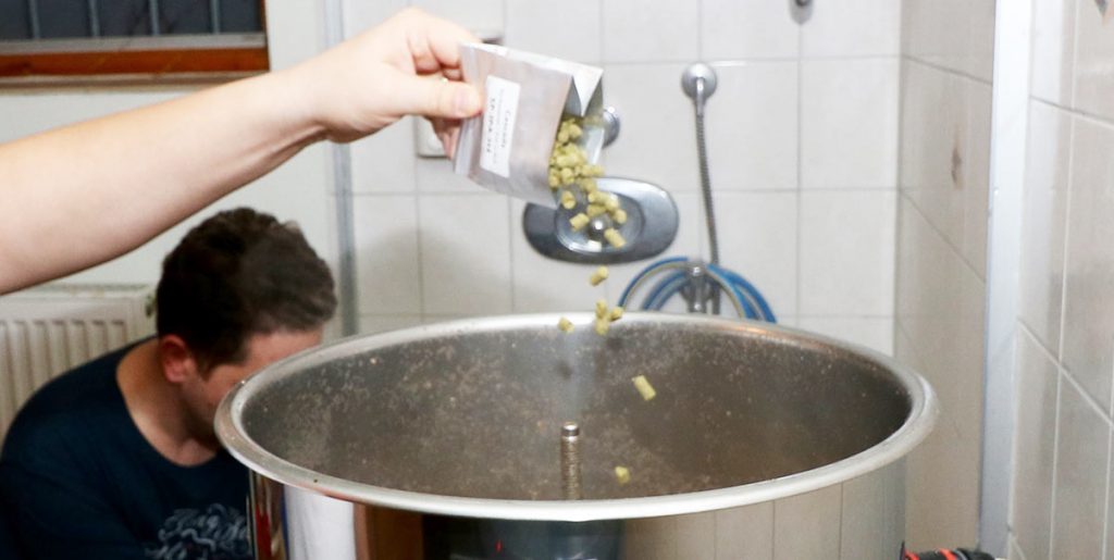 Das Würze kochen - Hopfengabe und mehr - Brauwissen