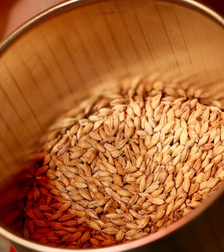 Mälzen und Schroten - Brauwissen - Kraftbier0711