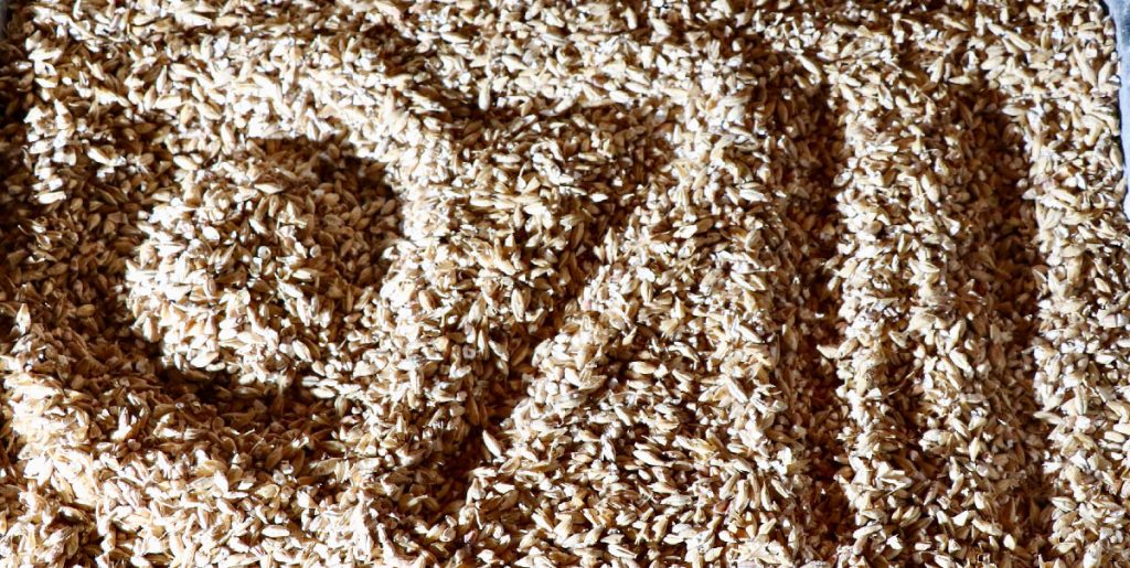 Mälzen und Schroten - Brauwissen - Kraftbier0711